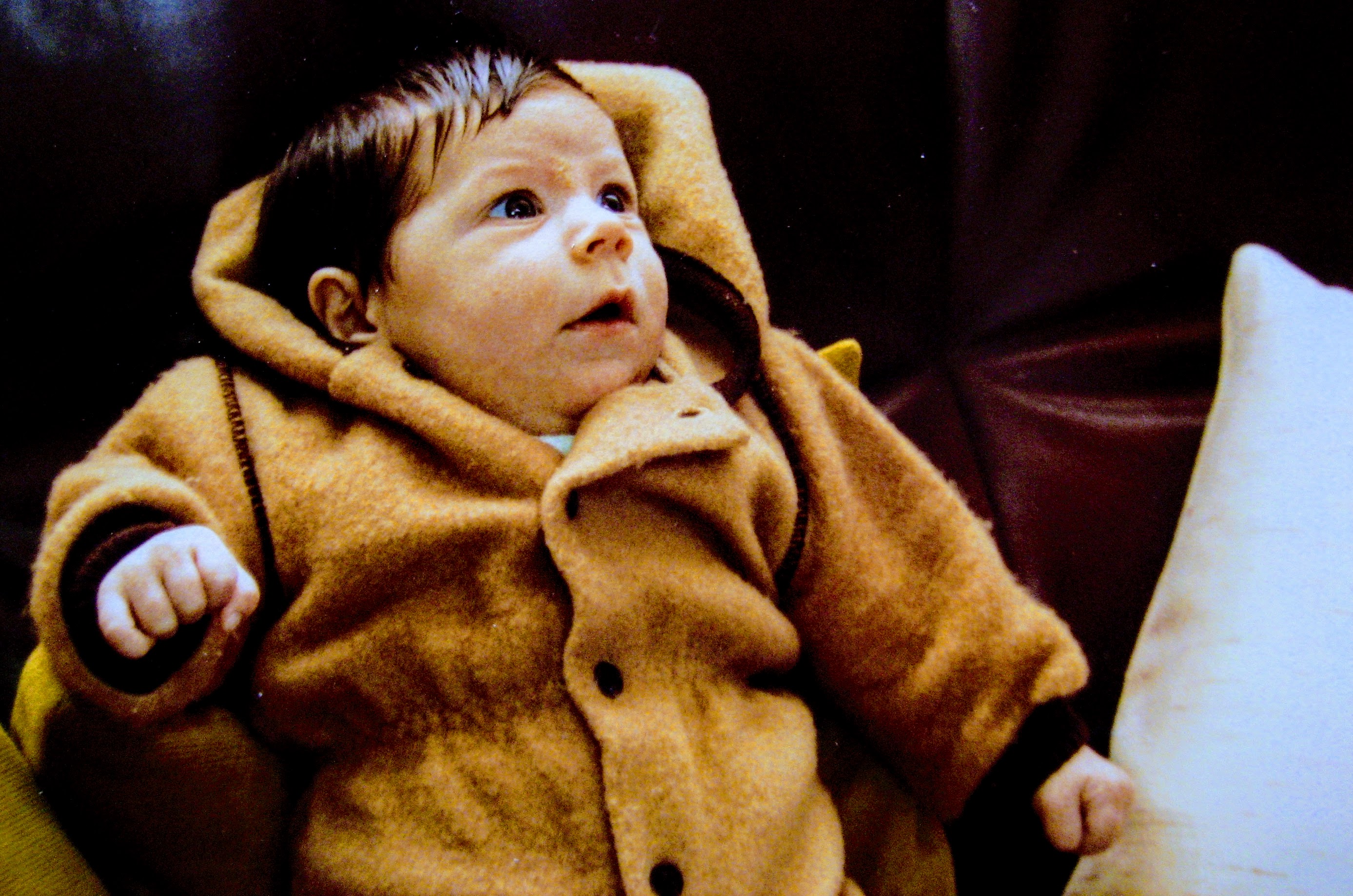 What Parents Need to Learn About Early Brain Development